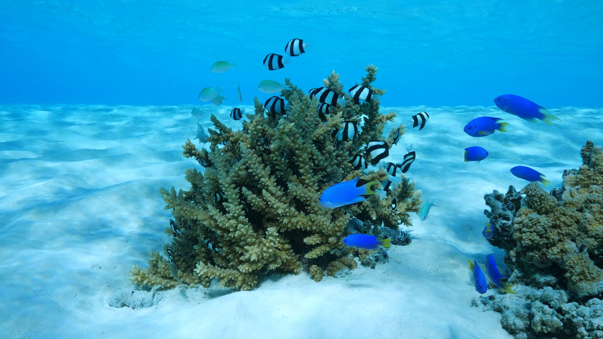 Forecasting hope: climate action for a more resilient Cook Islands ...