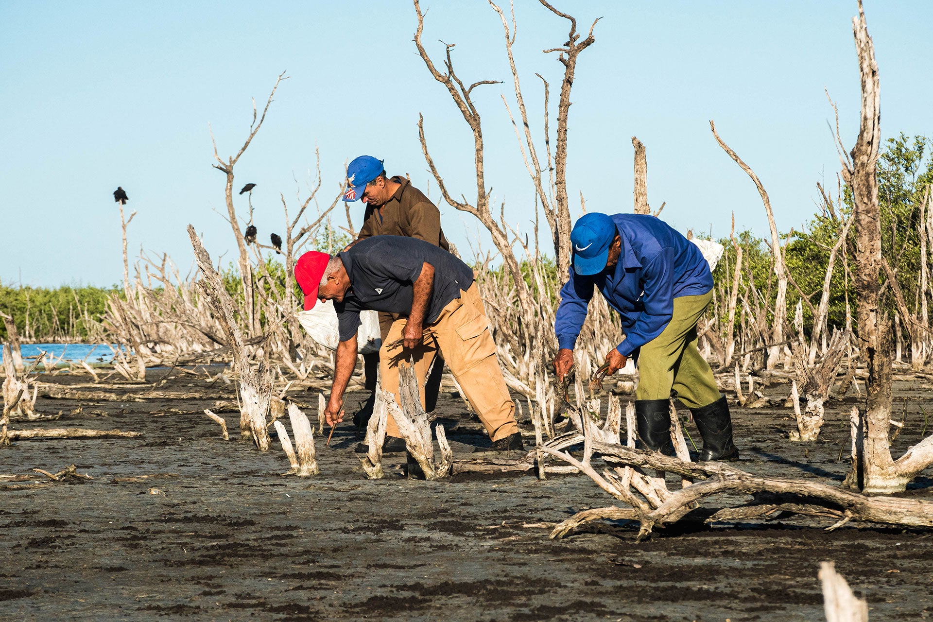 Cuba's coastal communities fight climate change | Green Climate Fund