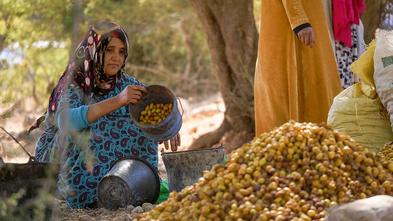 Agency for Agricultural Development of Morocco (ADA_Morocco) | Green ...