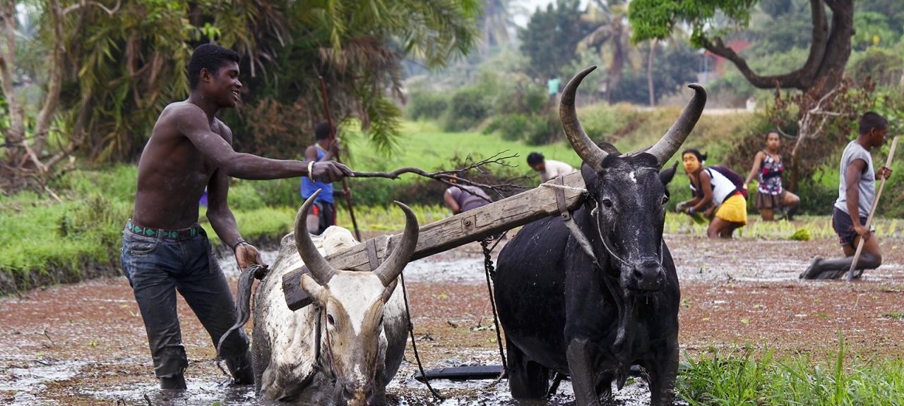 Acumen Fund, Inc. (Acumen) | Green Climate Fund