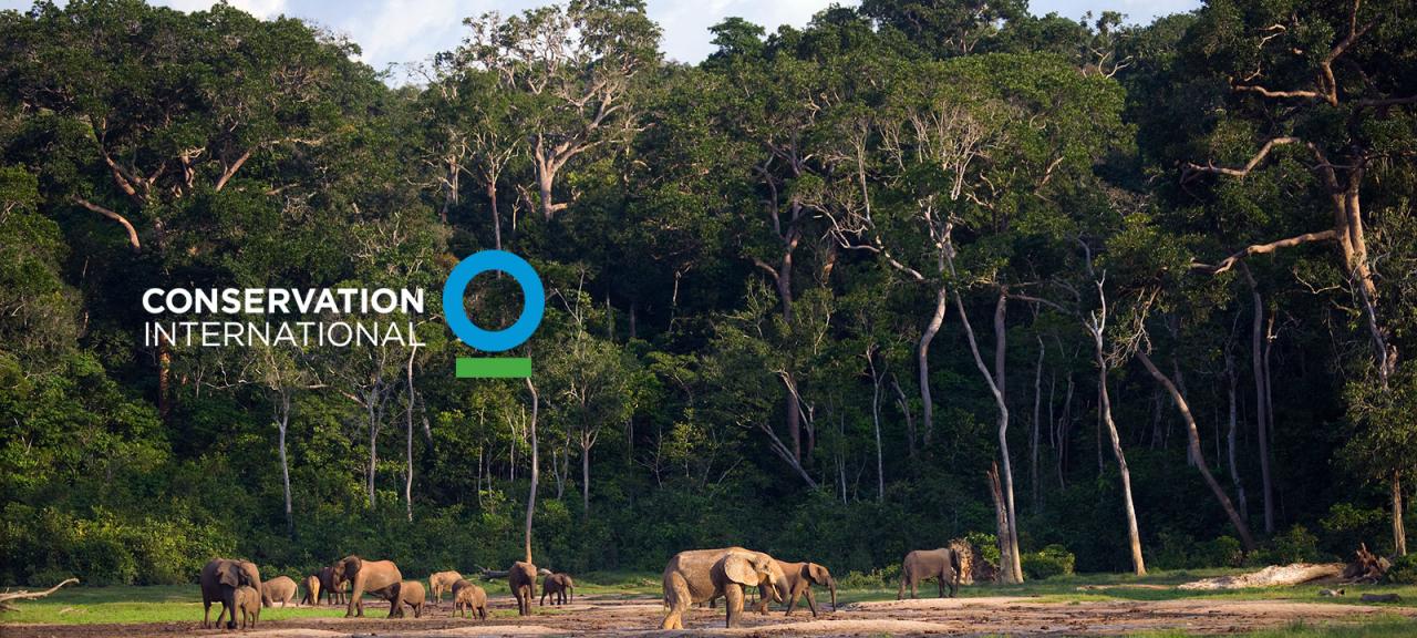 Conservation International Foundation (CI) | Green Climate Fund