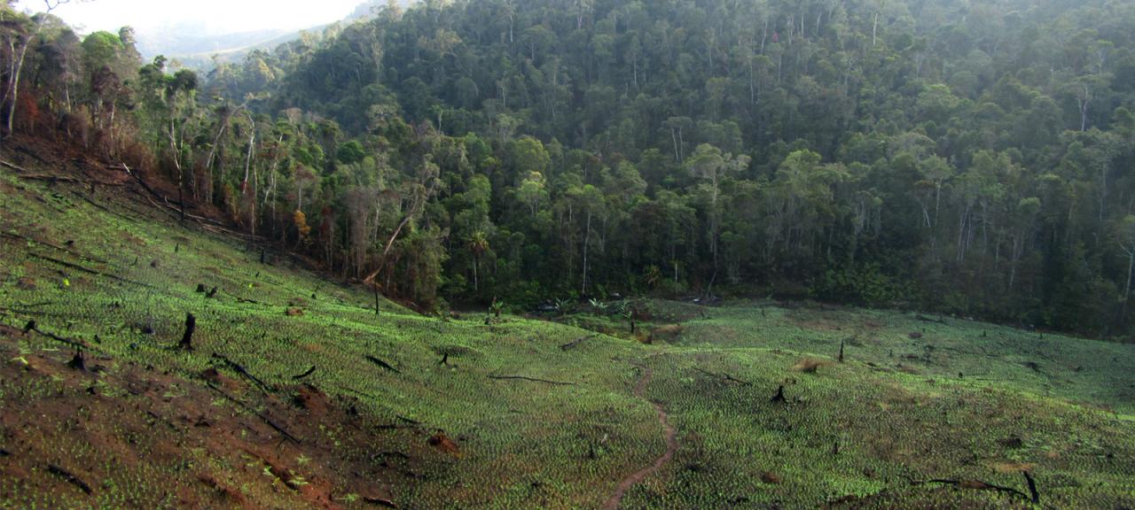 Madagascar | Green Climate Fund