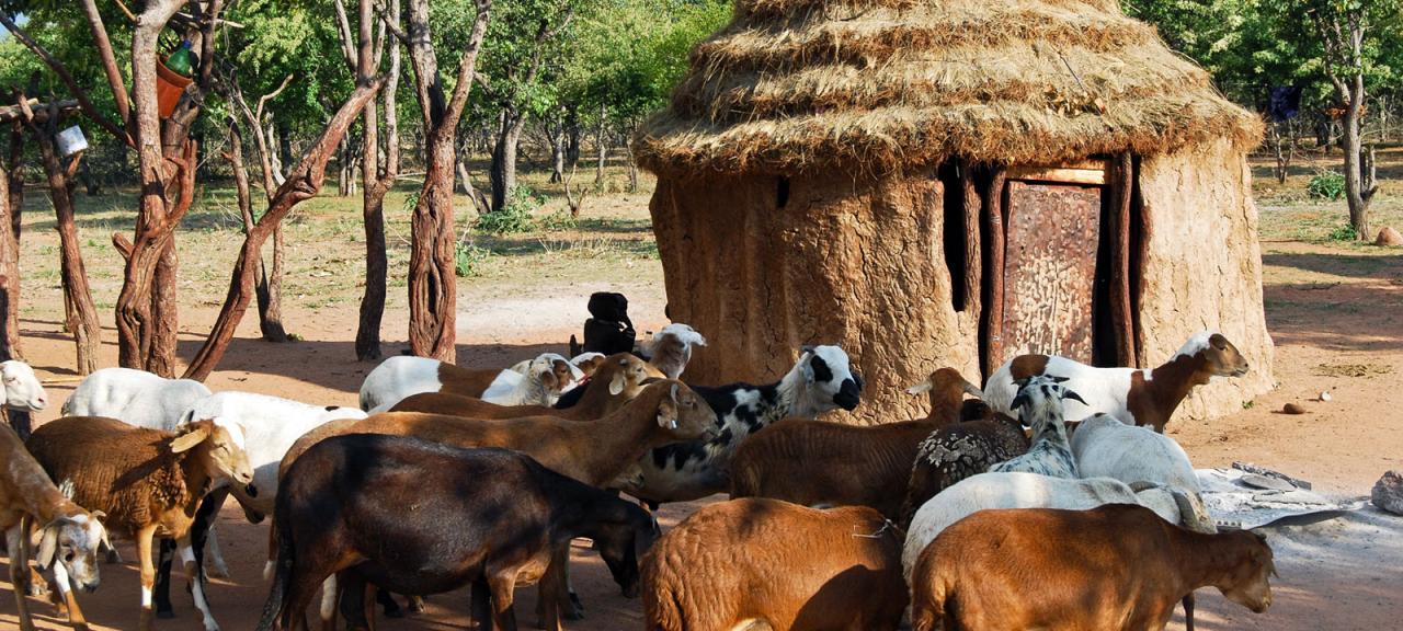 Namibia | Green Climate Fund
