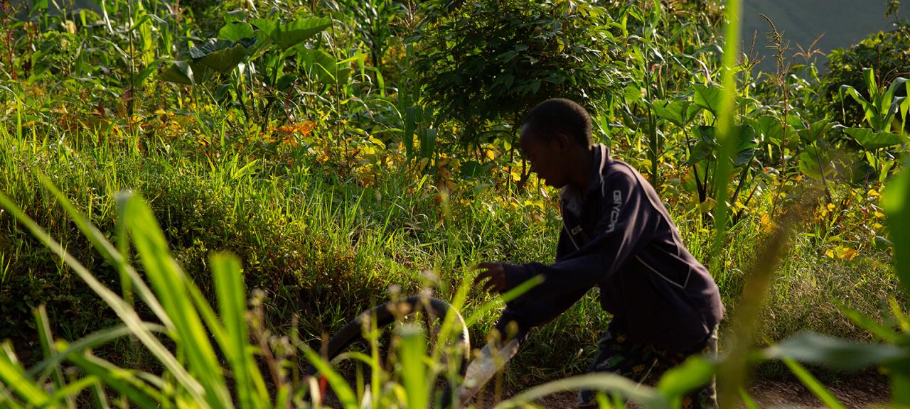 News and stories | Green Climate Fund