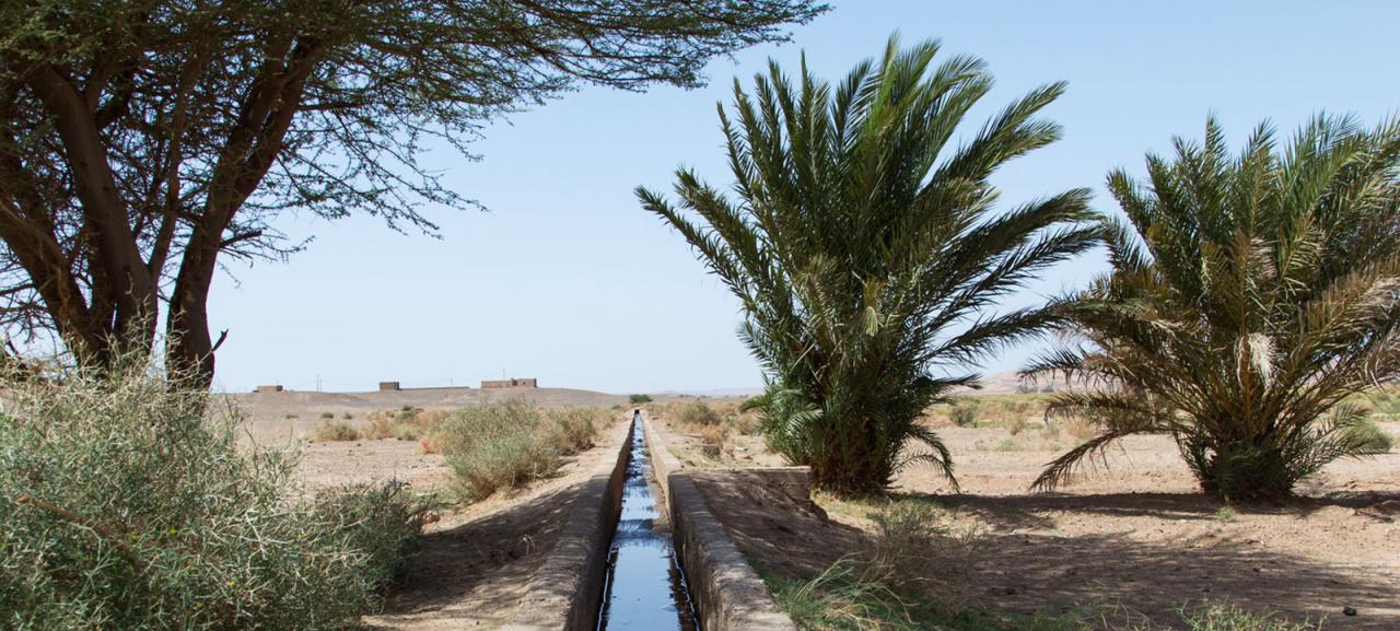 Agency for Agricultural Development of Morocco (ADA_Morocco) | Green ...