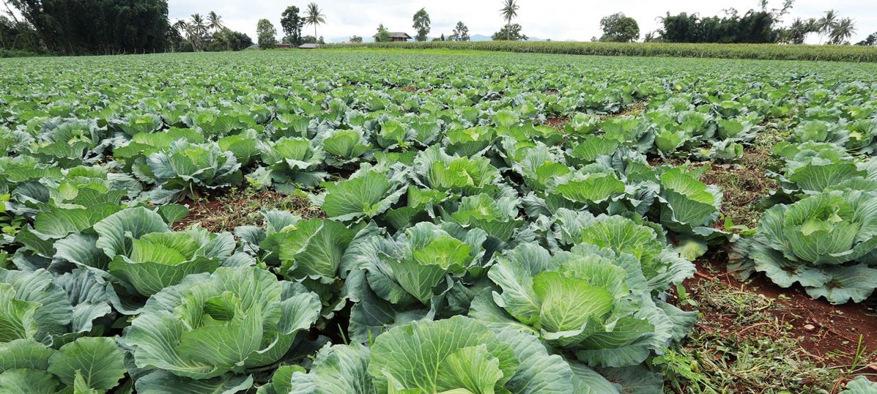 Namibia | Green Climate Fund