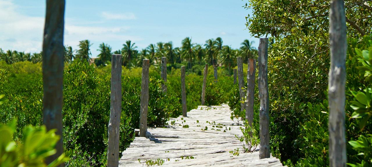 United Nations Environment Programme (UNEP) | Green Climate Fund