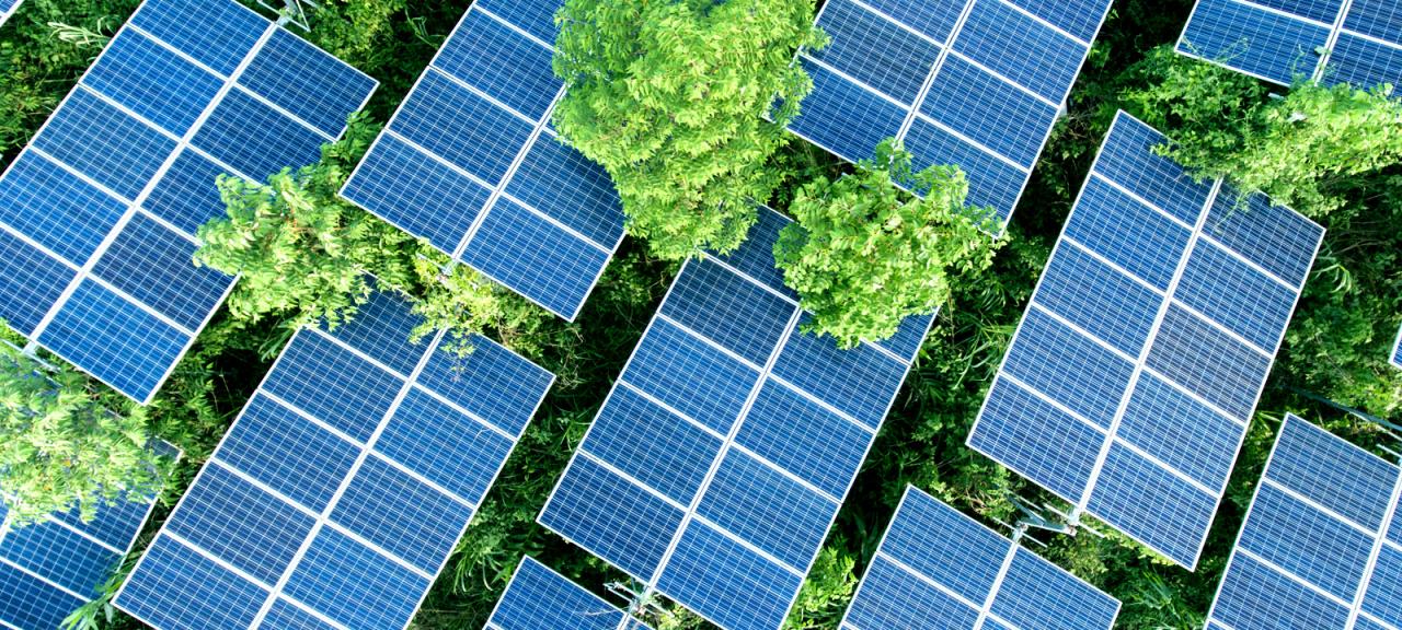 Resources | Green Climate Fund