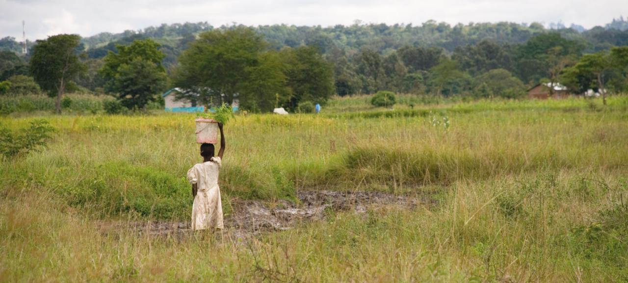 Kreditanstalt für Wiederaufbau (KfW) | Green Climate Fund