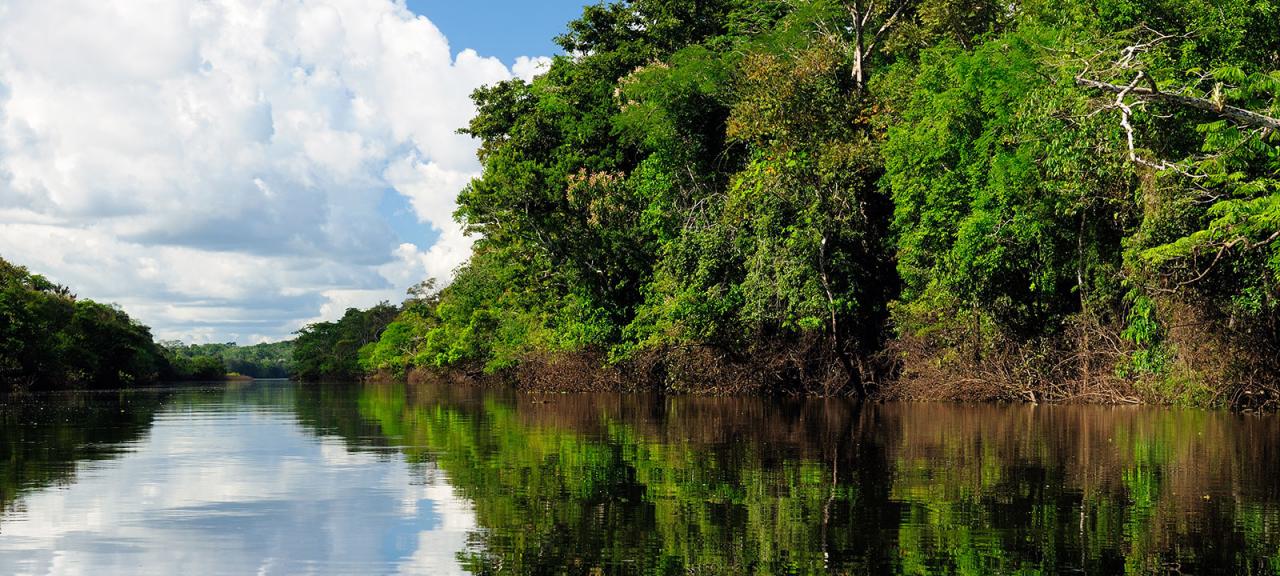 Brazil | Green Climate Fund
