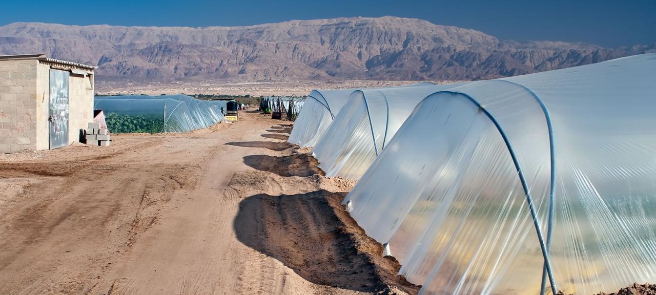 Food and Agriculture Organization of the United Nations (FAO) | Green ...