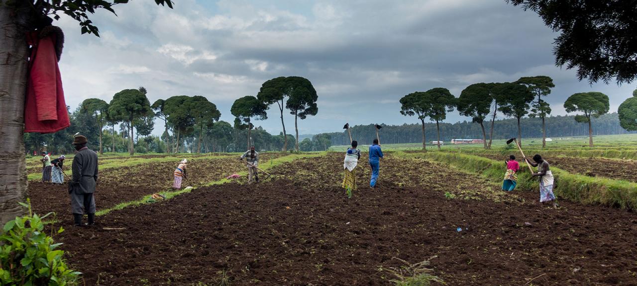 Rwanda | Green Climate Fund