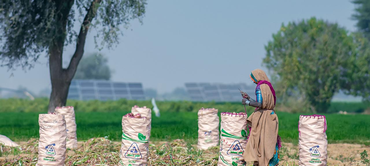 Pakistan | Green Climate Fund