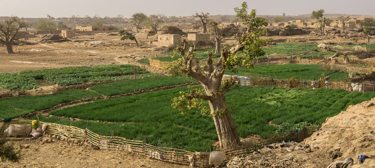 Adaptation | Green Climate Fund