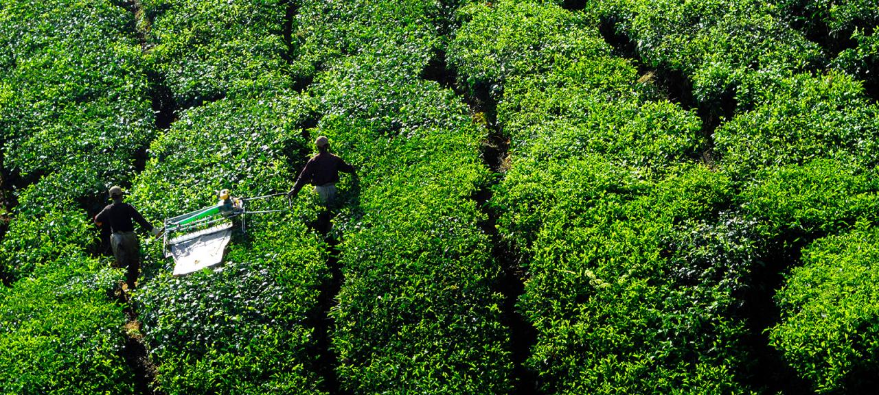 Mitigation | Green Climate Fund