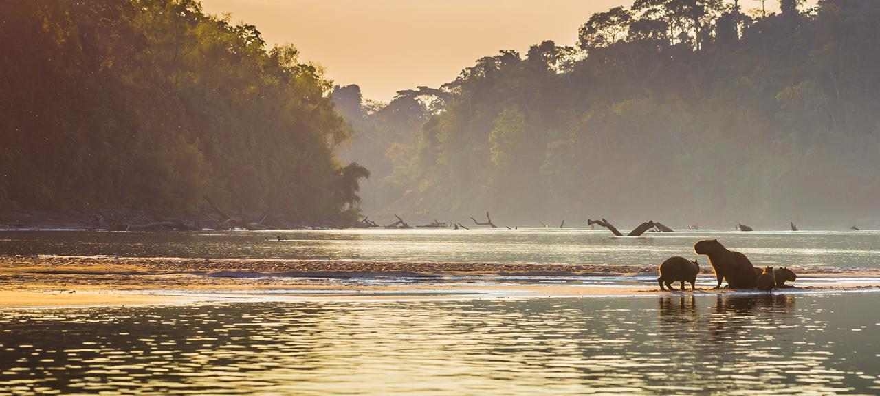 Locally Led Climate Action | Green Climate Fund