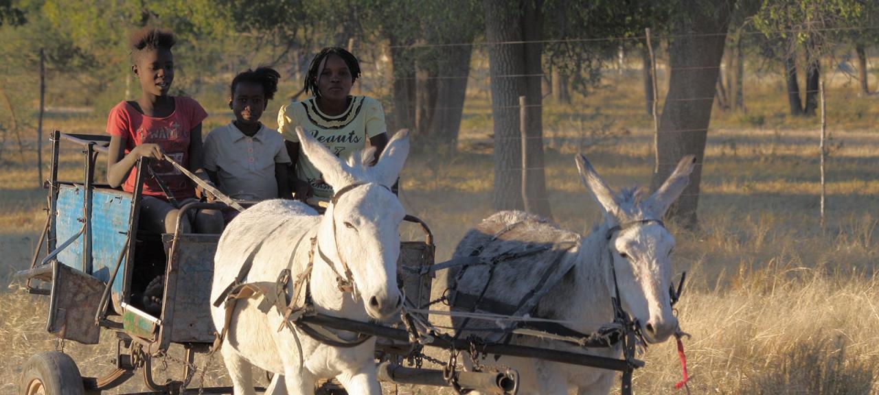 Namibia | Green Climate Fund