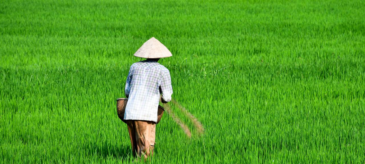 Agence luxembourgeoise pour la Coopération au Développement (Lux ...