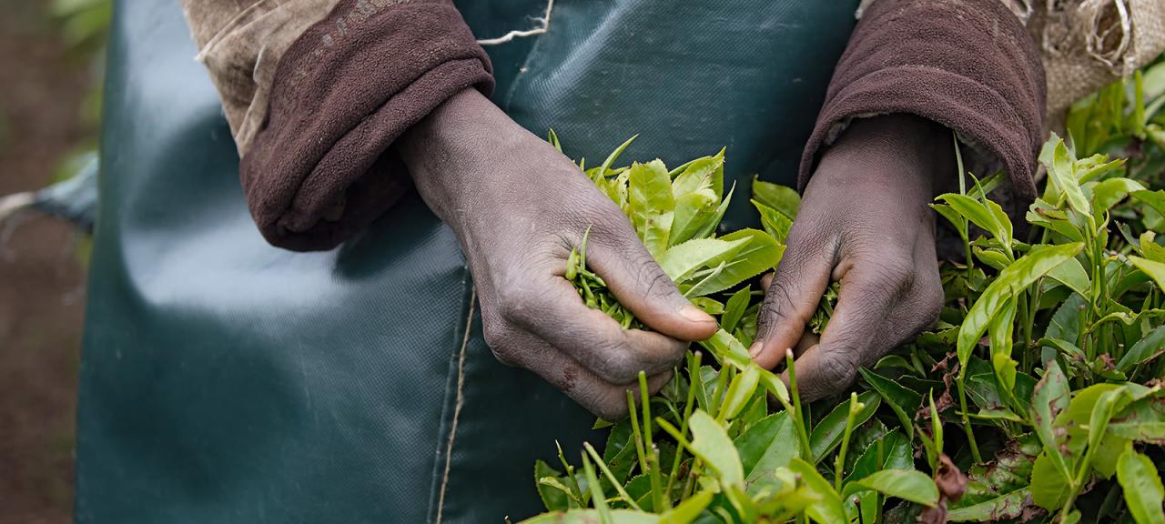 PSAA projects | Green Climate Fund