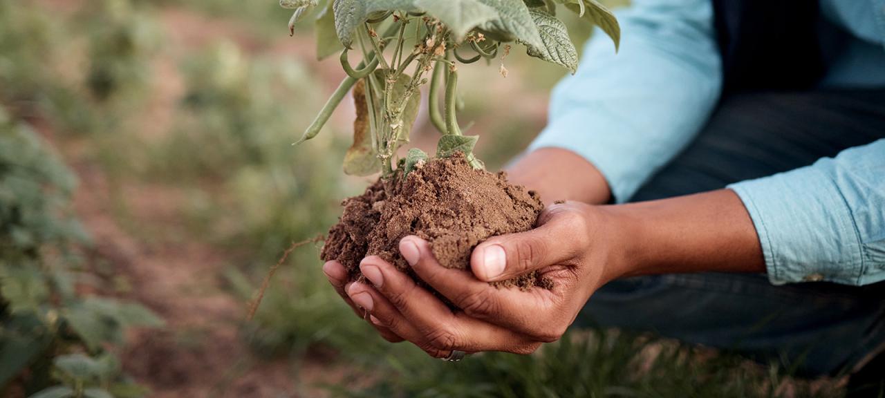 Adaptation | Green Climate Fund
