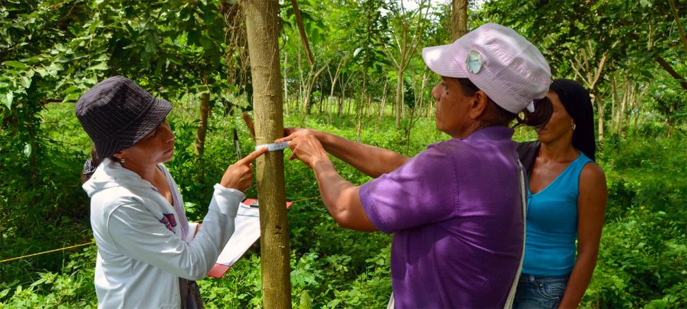 Colombia | Green Climate Fund