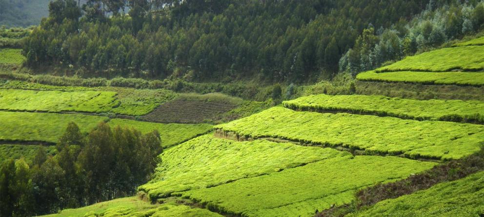 Rwanda | Green Climate Fund
