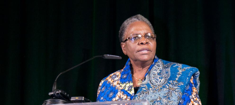 Environmental Investment Fund (EIF) | Green Climate Fund