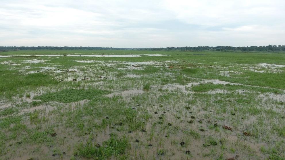 Uganda | Green Climate Fund