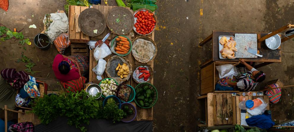 Food and Agriculture Organization of the United Nations (FAO) | Green ...