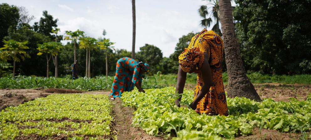 Congo | Green Climate Fund