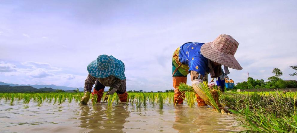 Thailand | Green Climate Fund