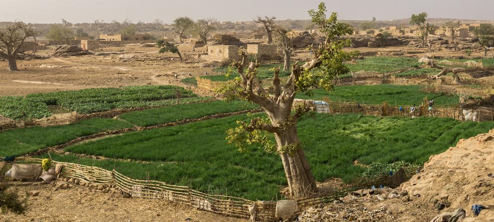 Adaptation | Green Climate Fund