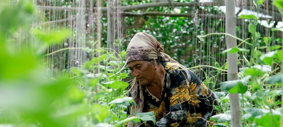 Adaptation | Green Climate Fund