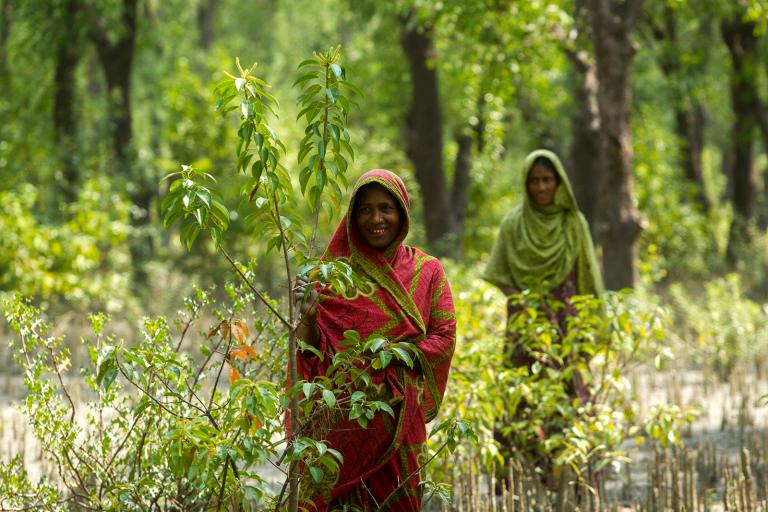 Investing in climate action with GCF | Green Climate Fund