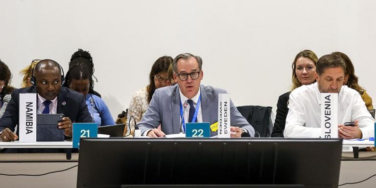 GCF at COP29 summary | Green Climate Fund