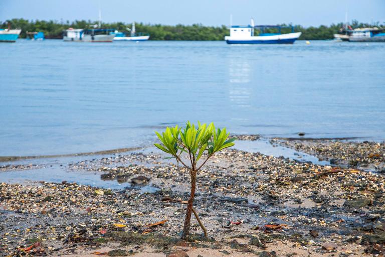 Cuba's coastal communities fight climate change | Green Climate Fund