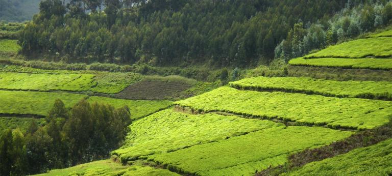 Rwanda | Green Climate Fund