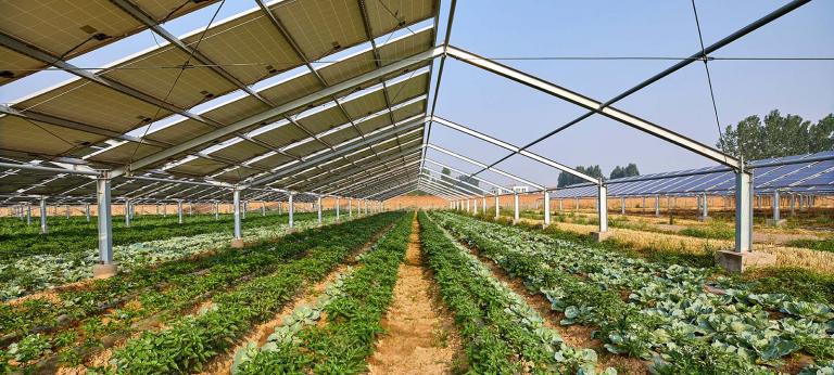 News and stories | Green Climate Fund