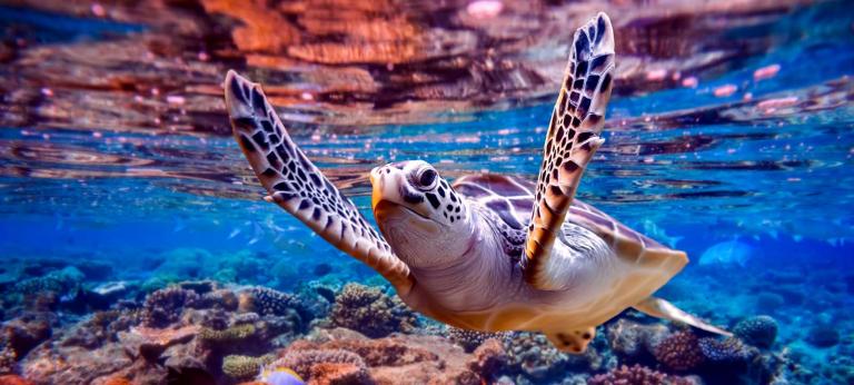 Fiji | Green Climate Fund