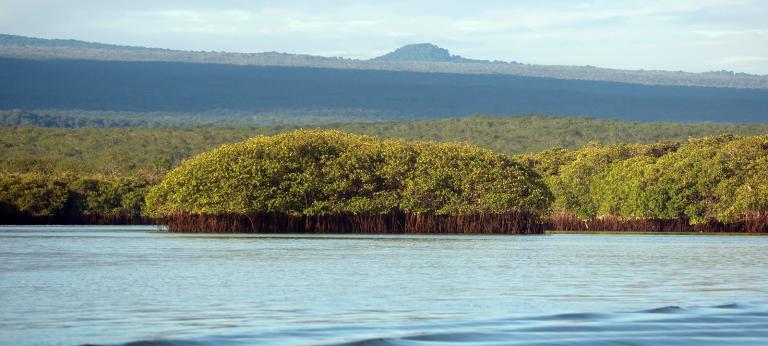 Ecuador | Green Climate Fund