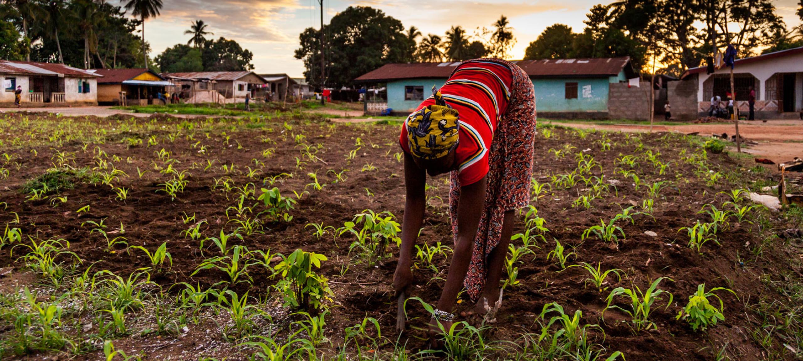 Enhancing Direct Access | Green Climate Fund