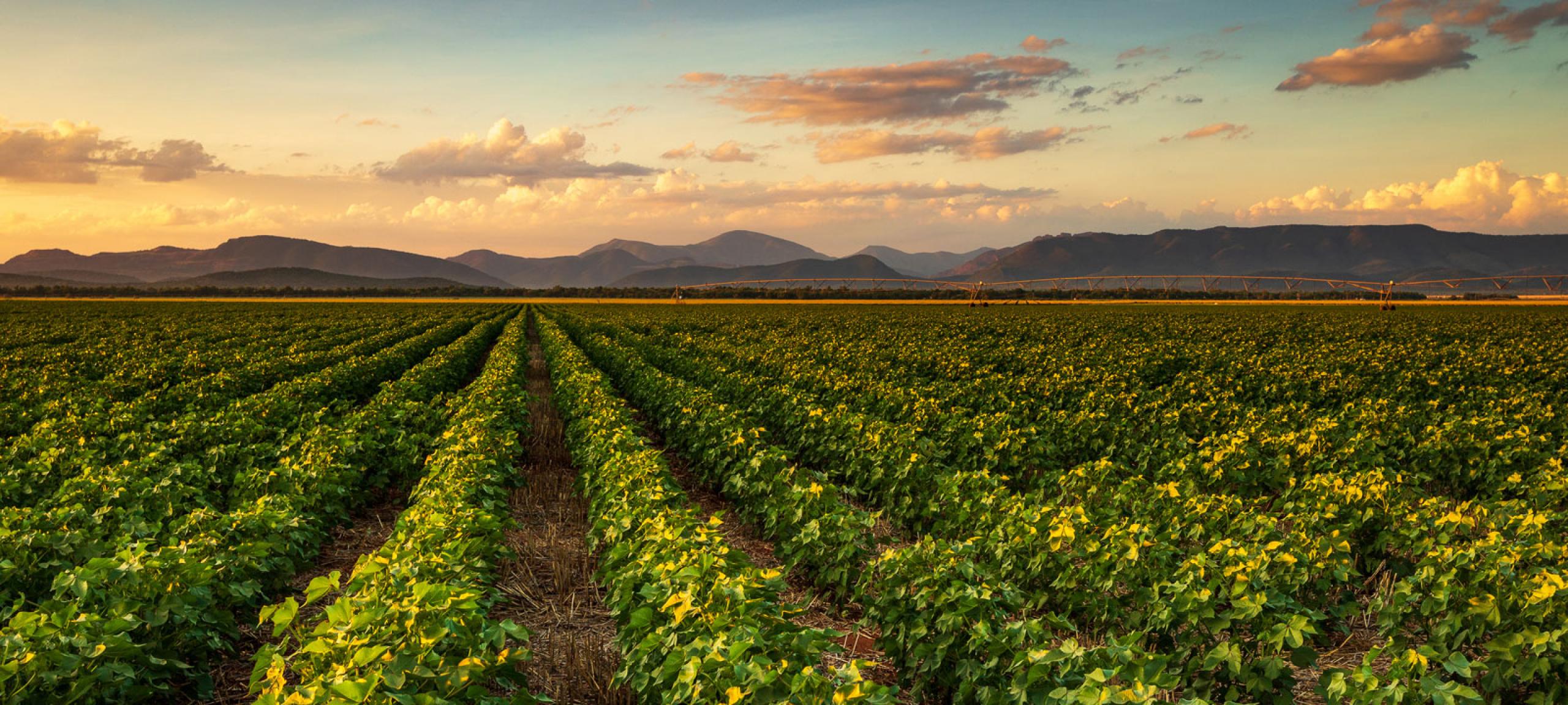 Country Readiness | Green Climate Fund