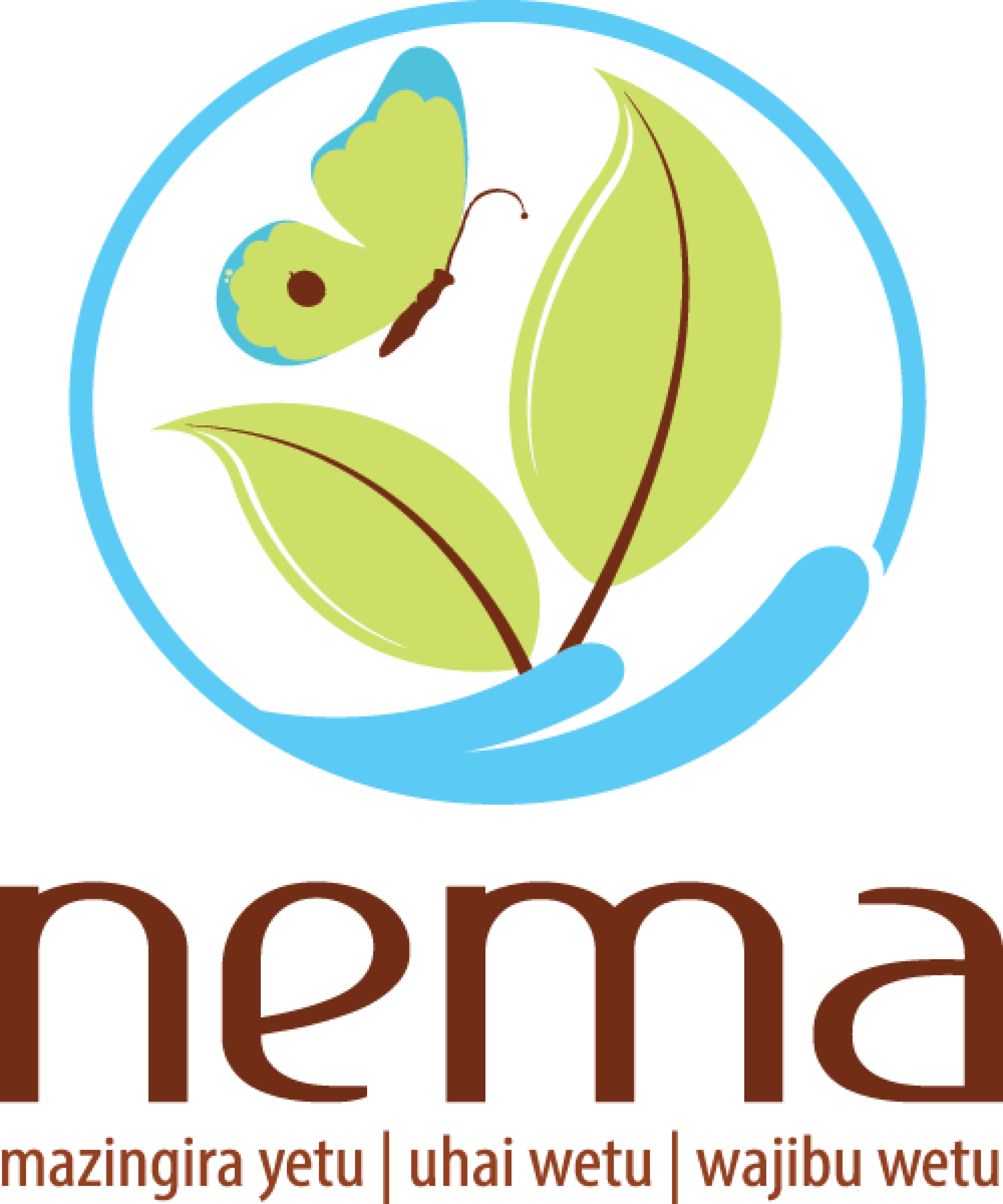 National Environment Management Authority of Kenya (NEMA) | Green ...