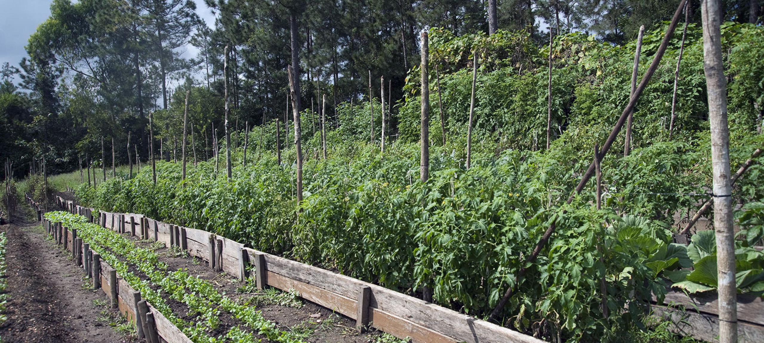 Belize | Green Climate Fund