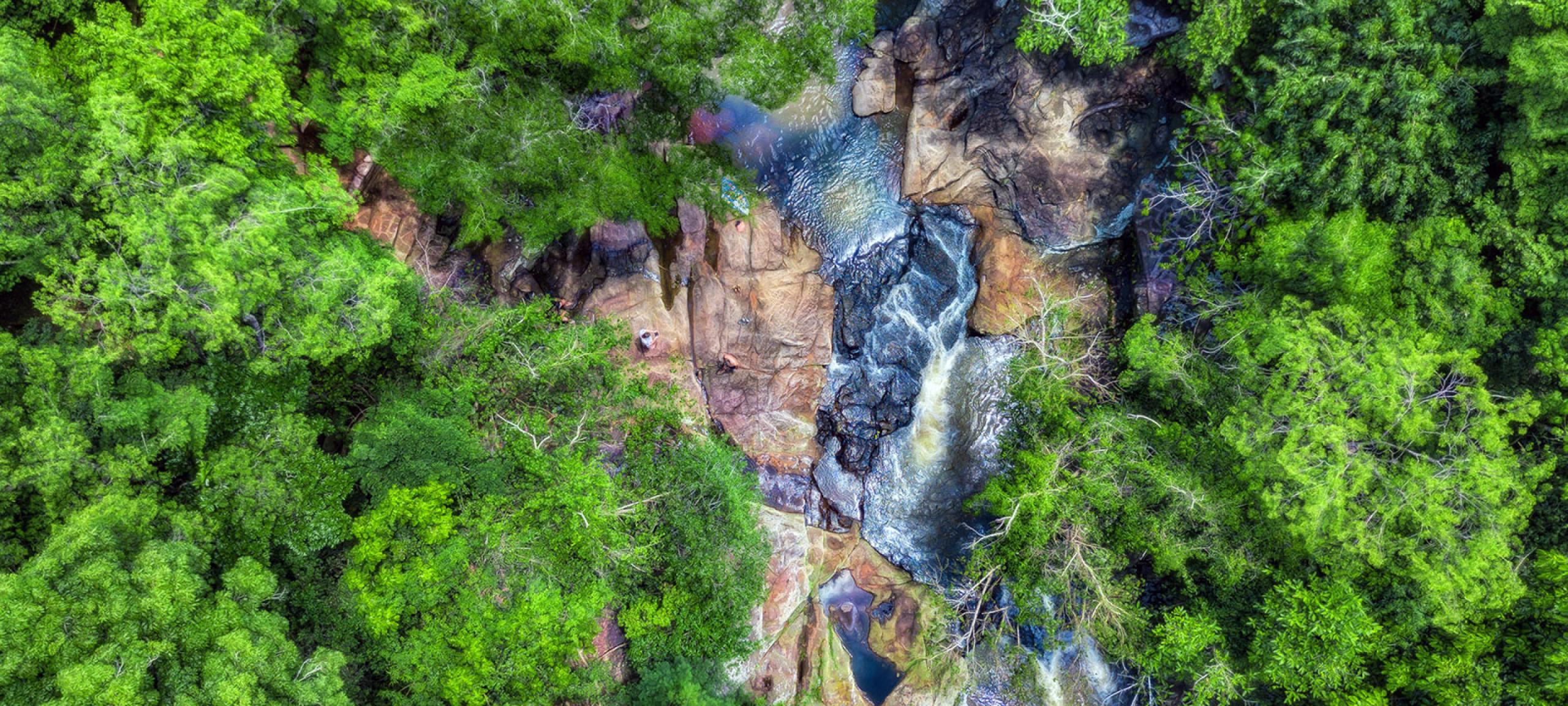 REDD+ | Green Climate Fund