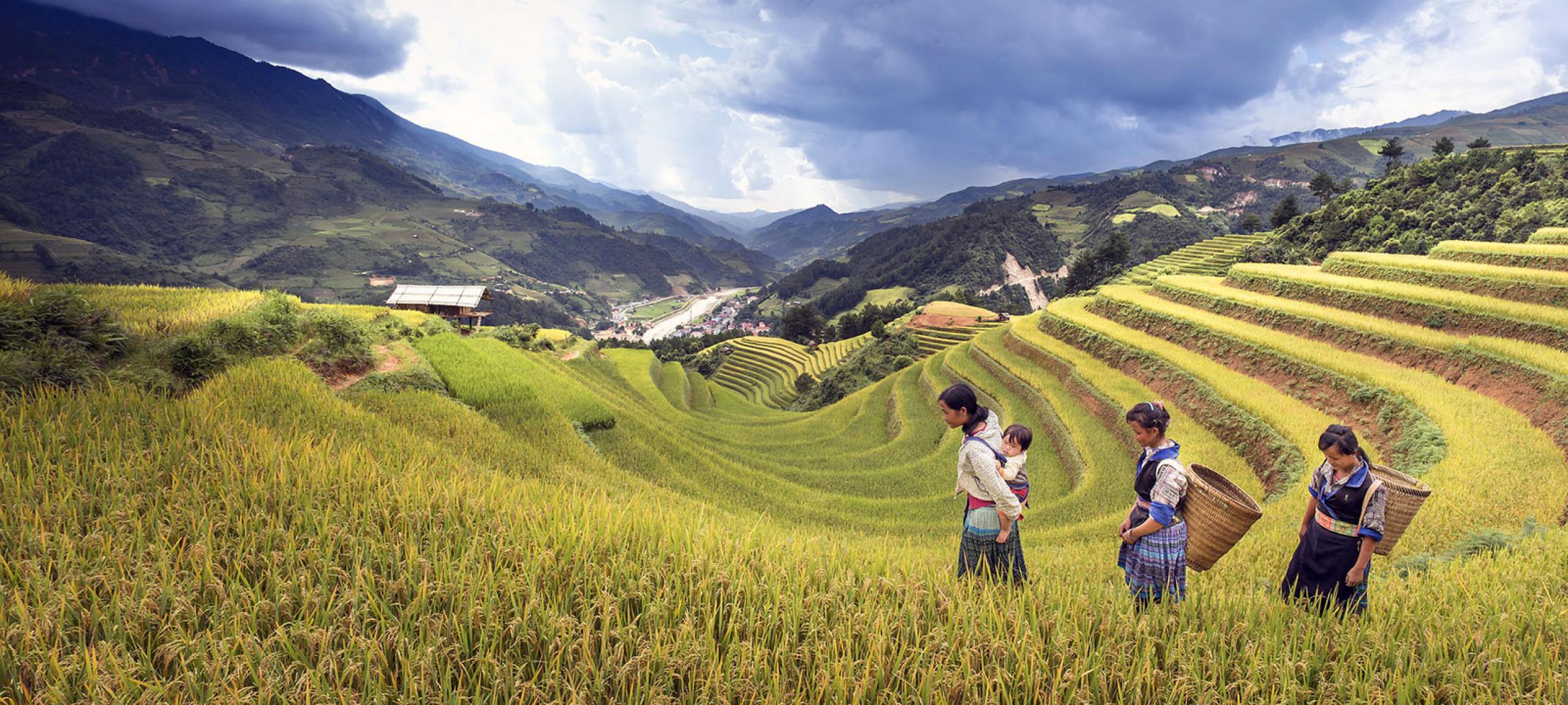 Viet Nam | Green Climate Fund