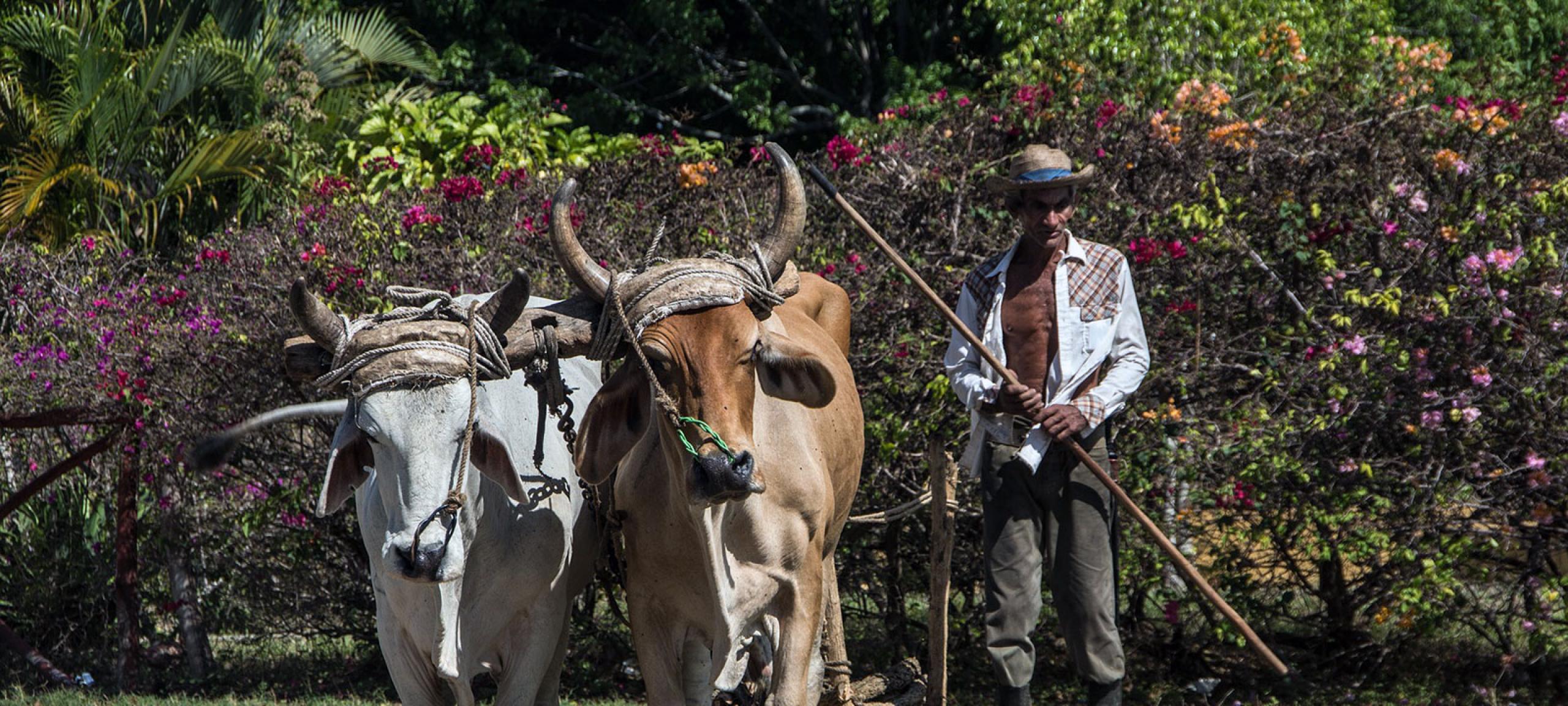 Cuba | Green Climate Fund