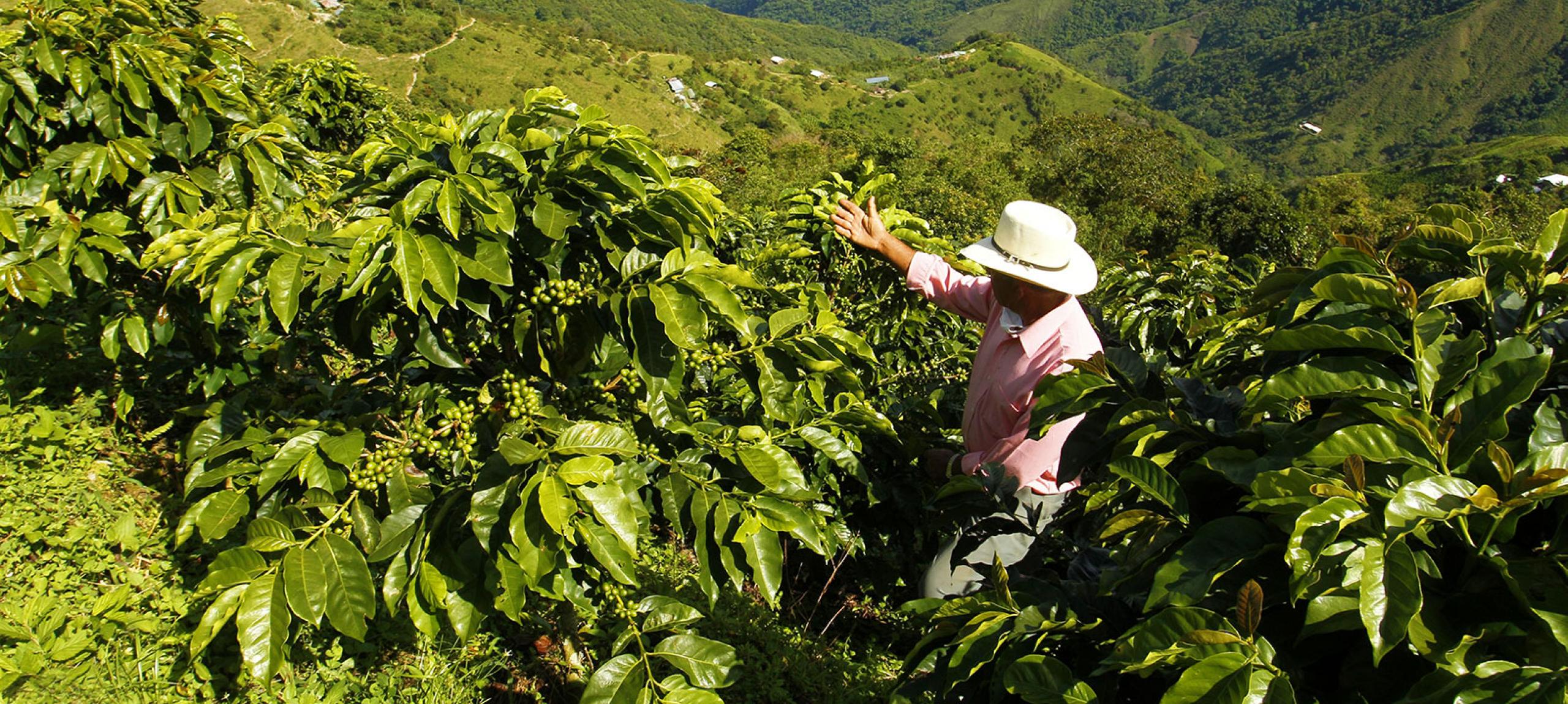 Colombia | Green Climate Fund
