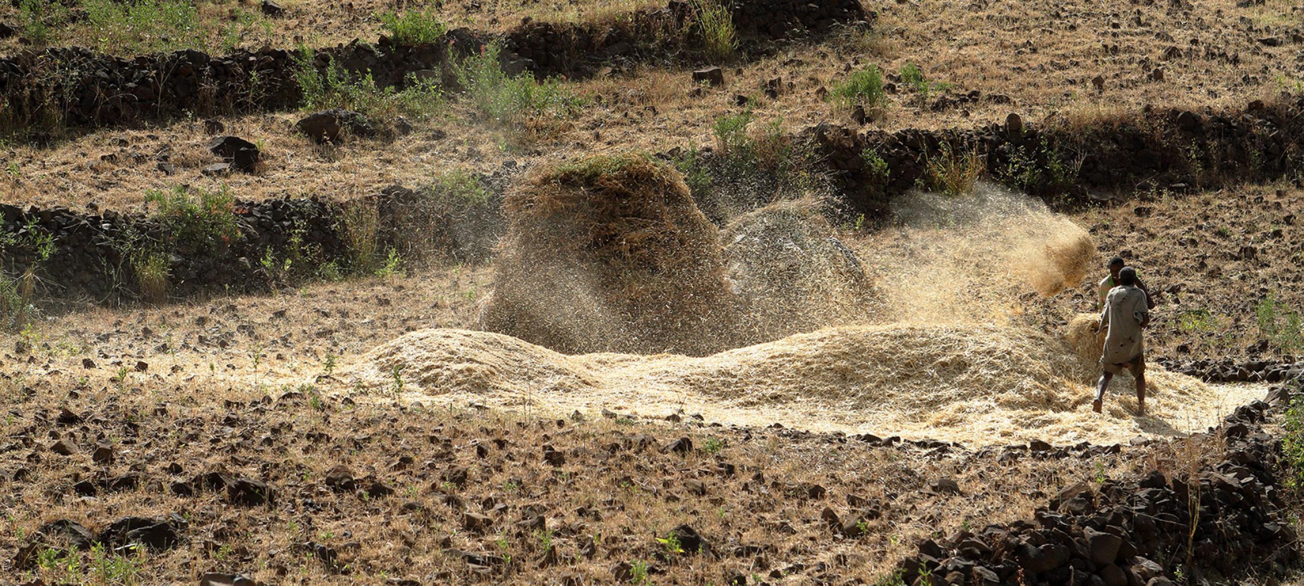 Ethiopia | Green Climate Fund