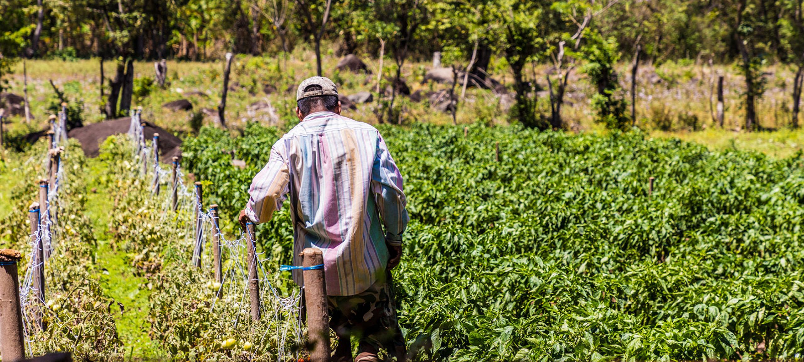 Central American Bank for Economic Integration (CABEI) | Green Climate Fund